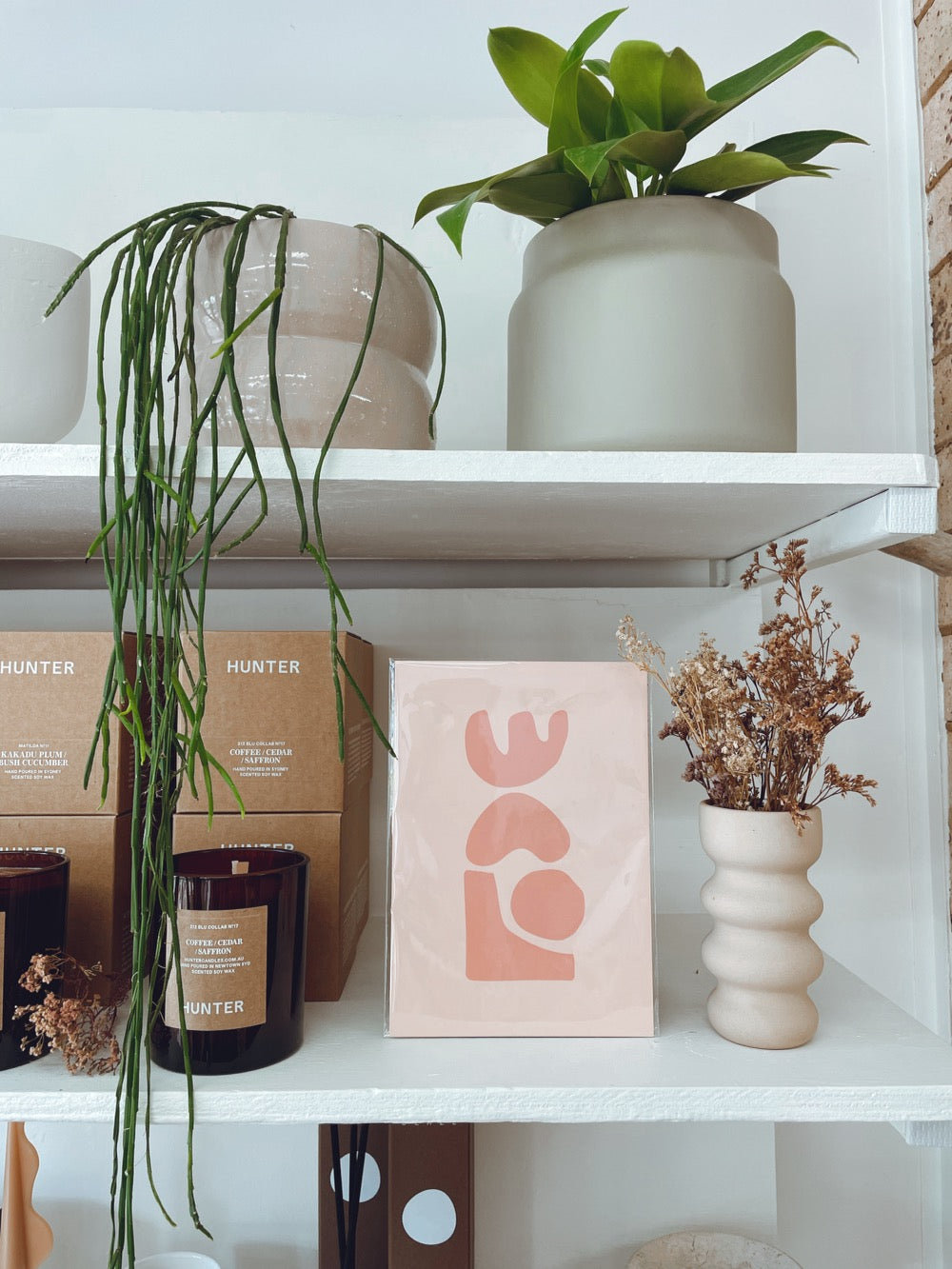 Plants ⊹ Planters – Grounded Store