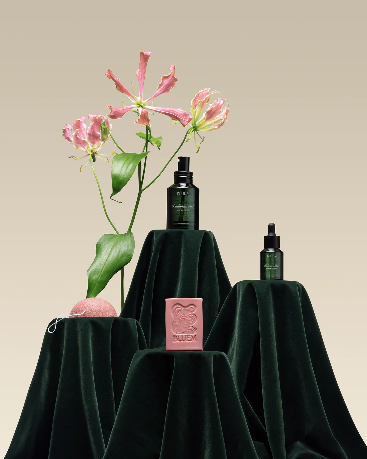 Beauty ⊹ Wellness – Grounded Store